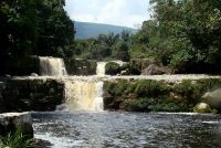Tamá National Natural Park - How to get there, rates and climate